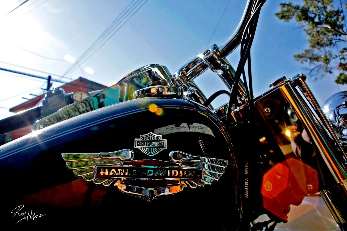 La Harley-Davidson – Apertura Intelectual